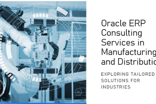 Oracle ERP Support (Manufacturing & Distribution)