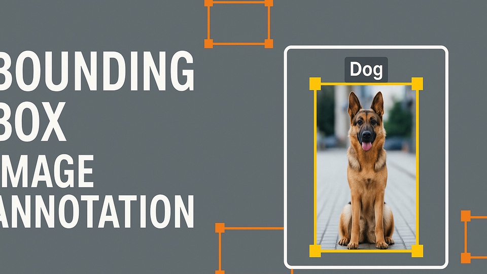 Bounding Box image annotation