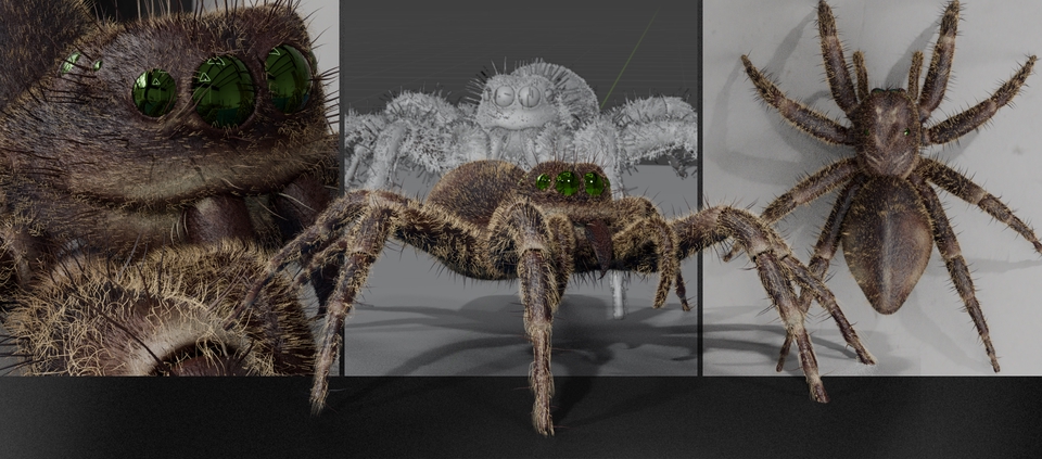 3D Modeling / Texture / Rigging / SLR